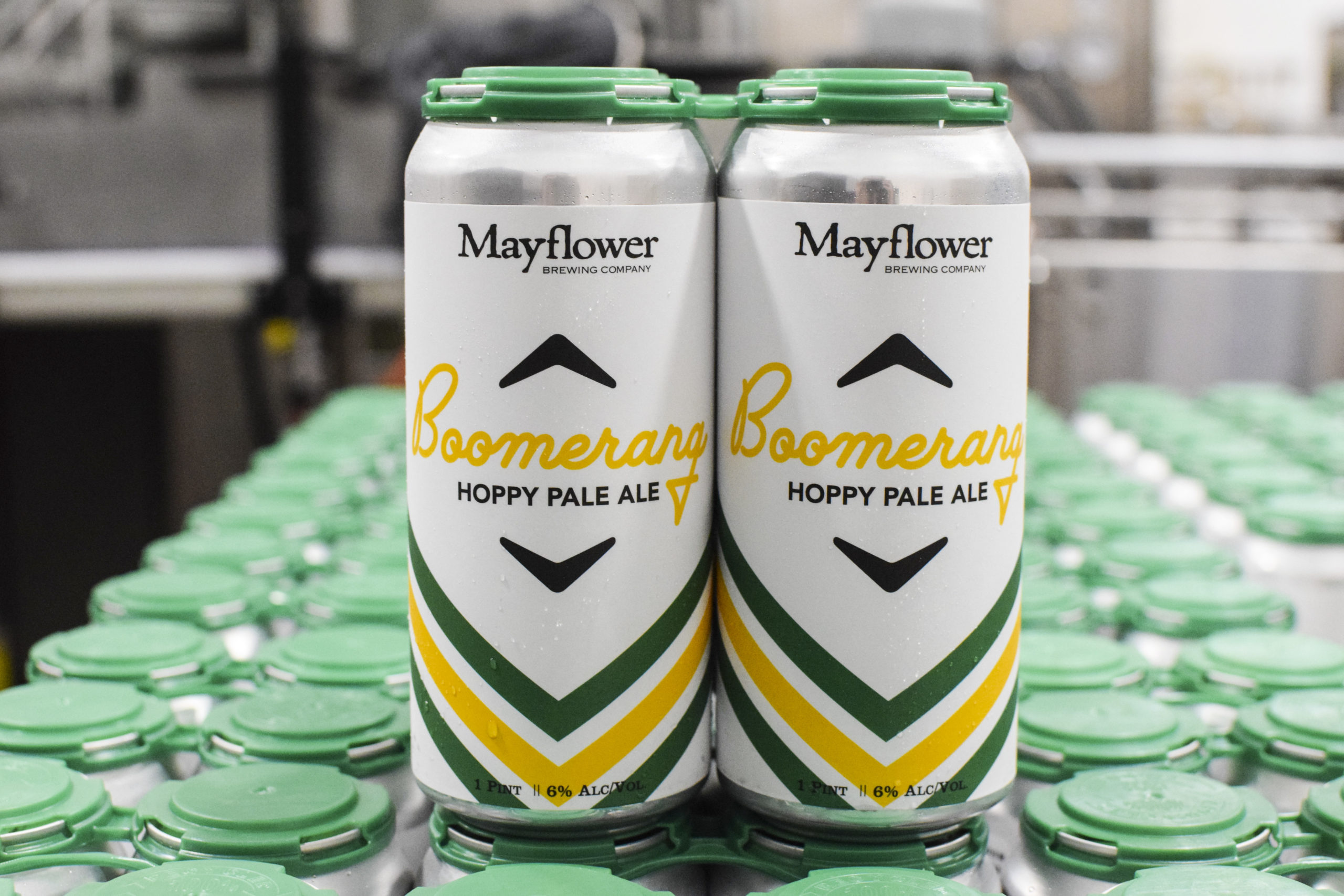 Boomerang - Mayflower Brewing