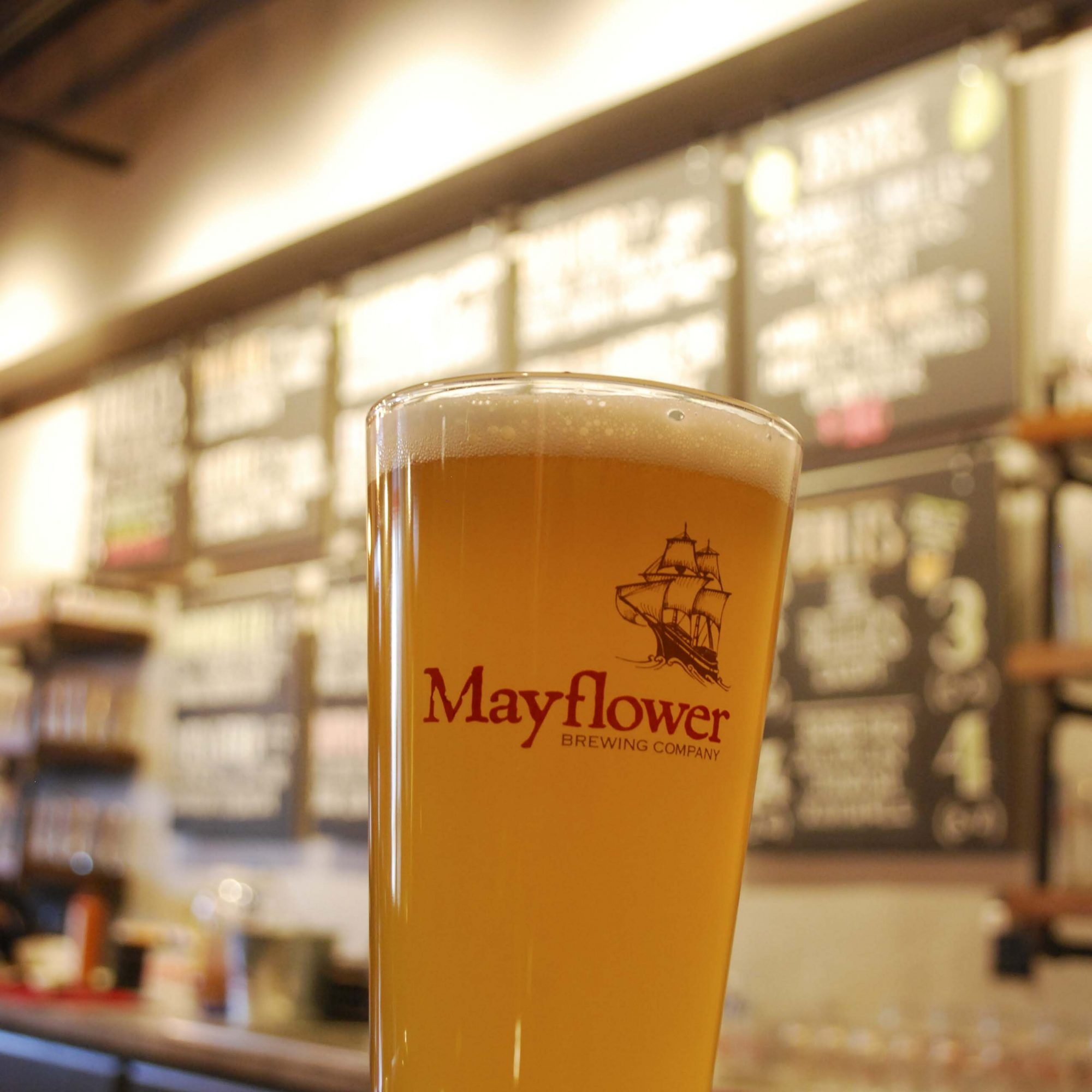 Grand Opening of our new Tasting Room! | Mayflower Brewing