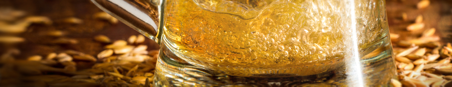 Golden Ale | Mayflower Brewing