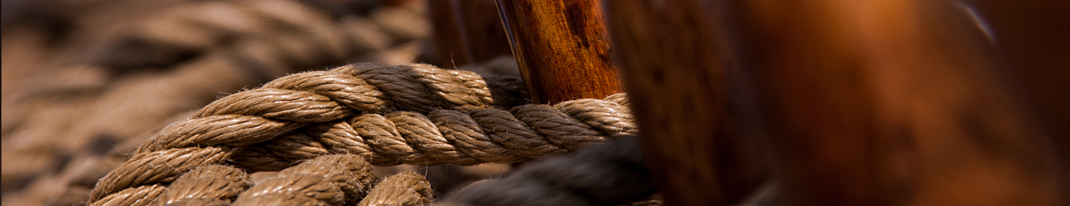 Porter | Mayflower Brewing